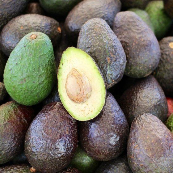 Avocado Facts - Avoca-do's, and Avoca-dont's - Is it Ripe?