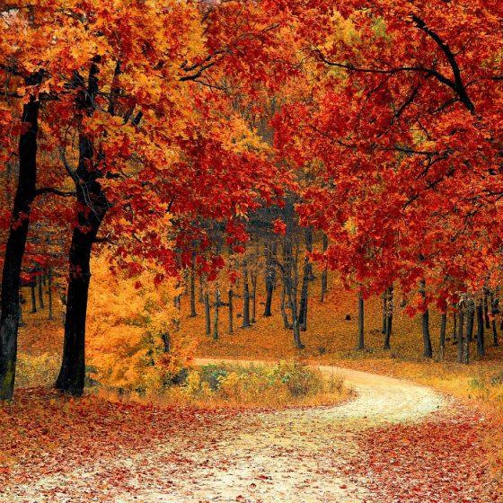 Looking Forward To October - 10 Reasons Why I Love Fall